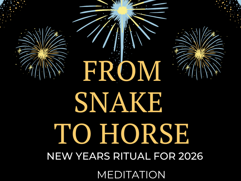 FROM SNAKE TO HORSE - New Years Ritual - Hipsy
