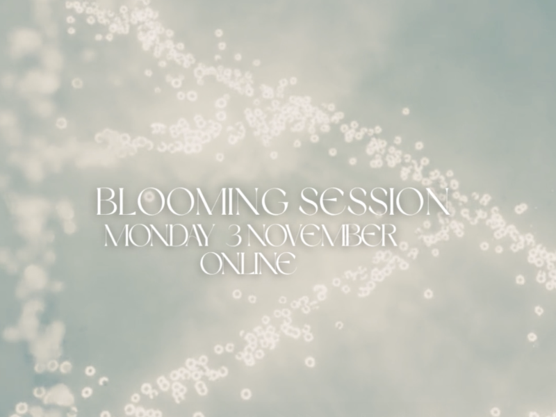 Blooming Transmission – The Pause Before Becoming - Hipsy
