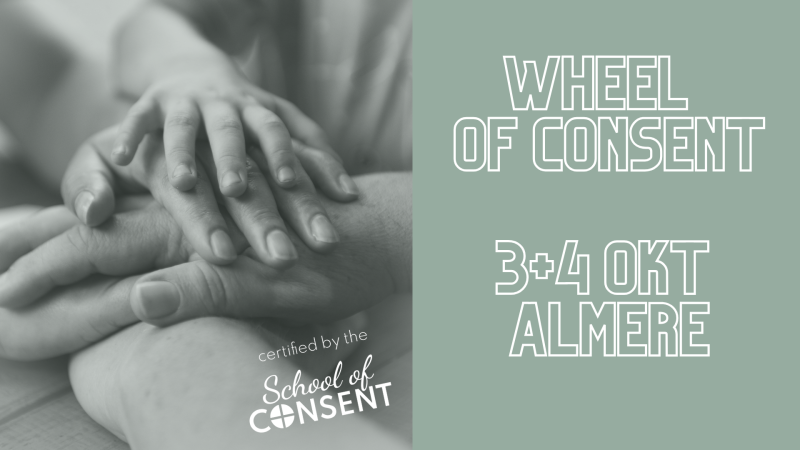 Wheel of Consent Basis Workshop - Hipsy