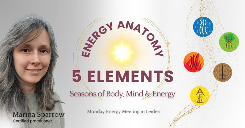 Energy Anatomy - The Five Elements: Seasons of Body, Mind, and Energy ...