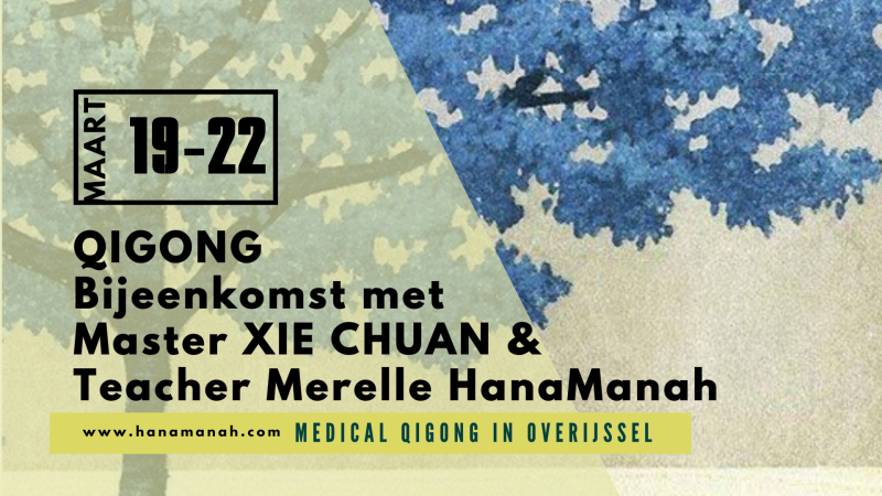 Qi Energie & Eenheid – Vierdaags Qigong Seminar met Master Xie Chuan - Hipsy