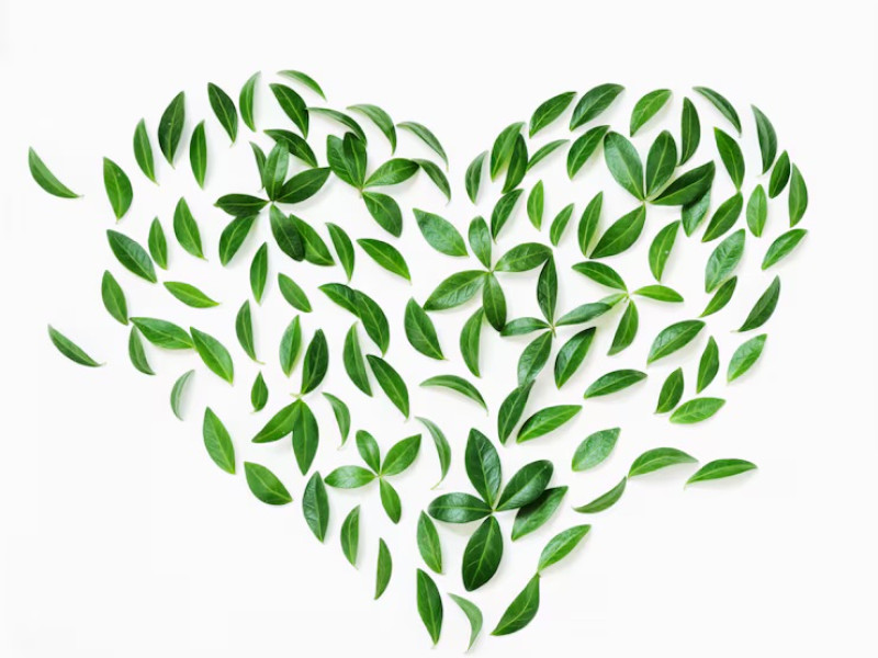 Workshop: Spreek vanuit je hart. - Hipsy