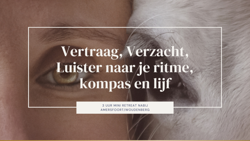 Vertraag, verzacht & luister naar het ritme van jouw lijf - Hipsy
