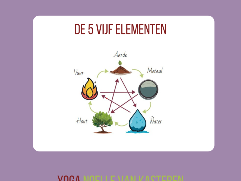 Ontdek de kracht van de vijf elementen - Hipsy