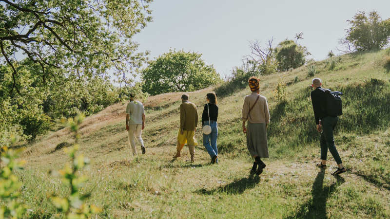 Stilte-Wandeling in het Bos (Lente Editie) - Hipsy