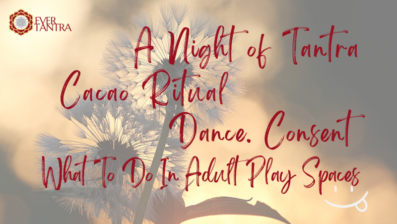 Tantra. CacaoRitual. Consent.What To Do in Adult Play Spaces - Hipsy