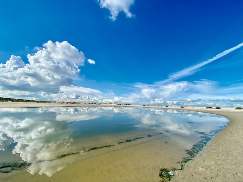 Breathwork en Yoga aan zee - Hipsy