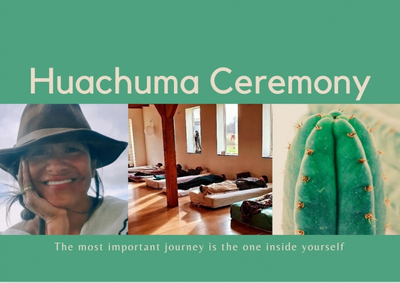 Grandfather Huachuma - Hipsy