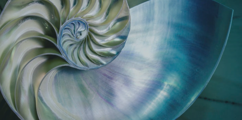 SHARING CIRCLE & SOUND in the BARN - Hipsy