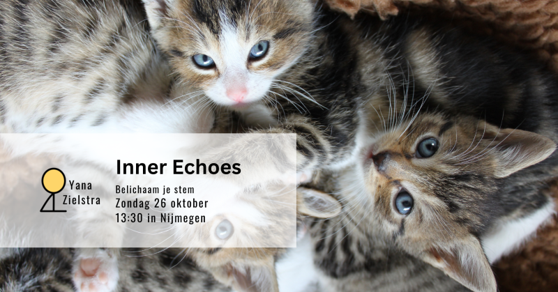 Inner Echoes: belichaam je stem - Hipsy