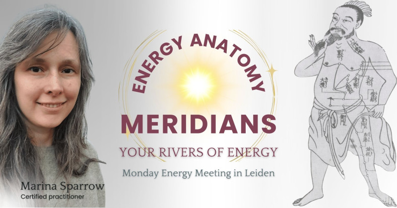 Energy Anatomy - Organ Meridians: Your Rivers of Energy - Hipsy