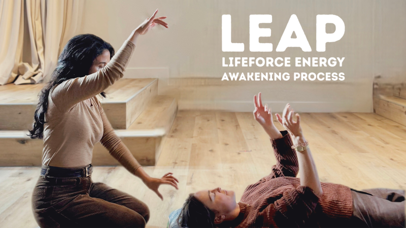 LEAP - Lifeforce Energy Awakening Process (Amstelveen) - Hipsy