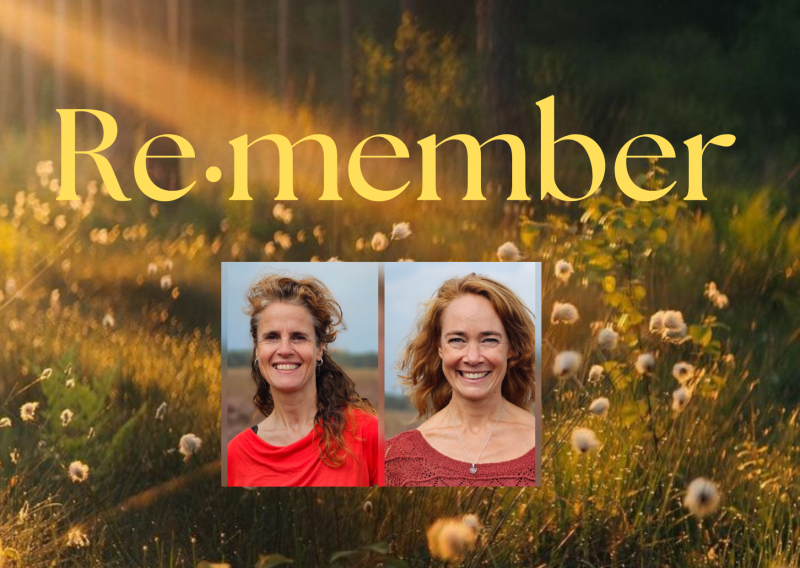 RE•MEMBER transformatieve 5 daagse journey - Hipsy