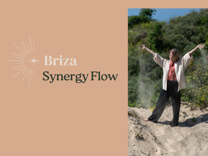 Synergy Flow Yoga - Amsterdam Noord - Hipsy