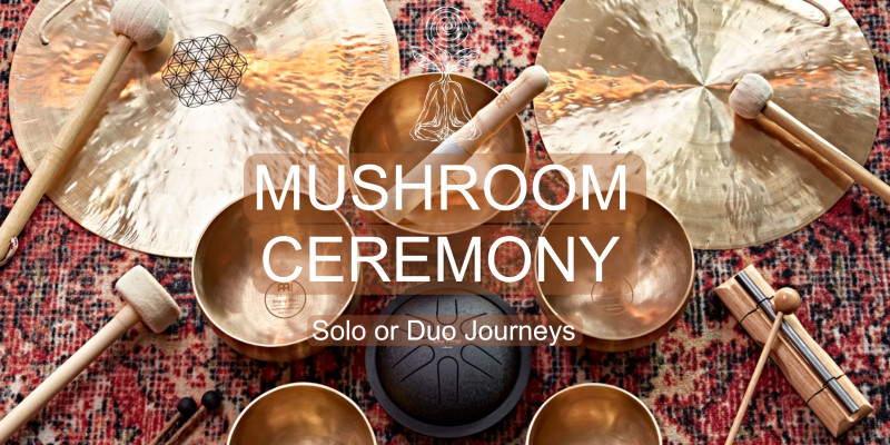 Inner Healing - Truffel Ceremonie - Hipsy