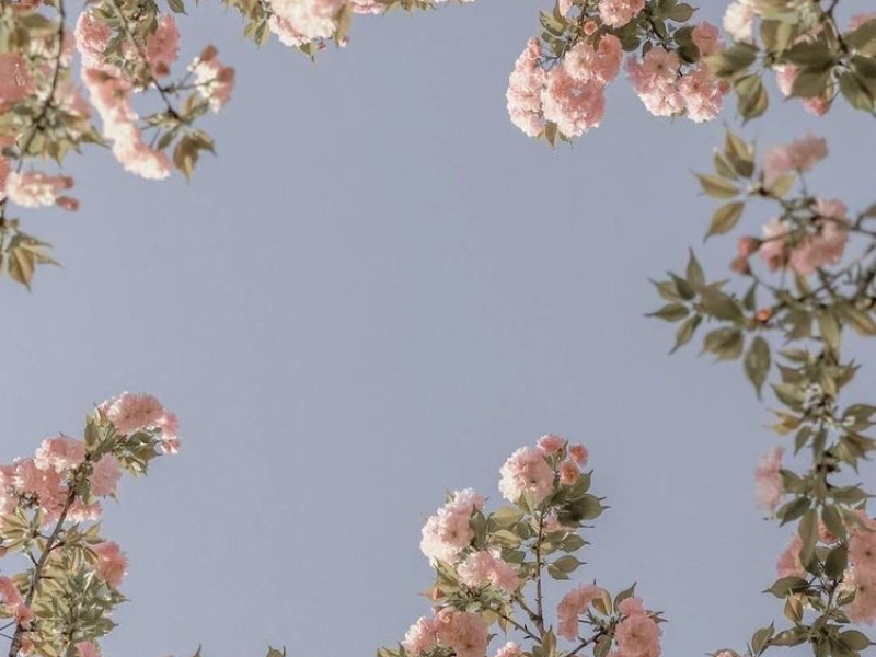 Vrouwencirkel - Volle maan in Stier - Hipsy