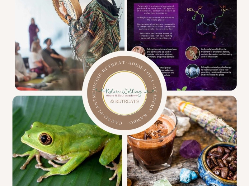 Kambo + Breathwork ceremonie - Hipsy