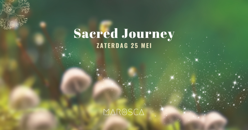 Sacred Journey - Hipsy