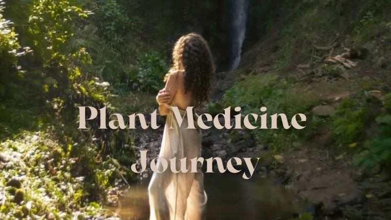 Magical Mushroom - Special - Hipsy