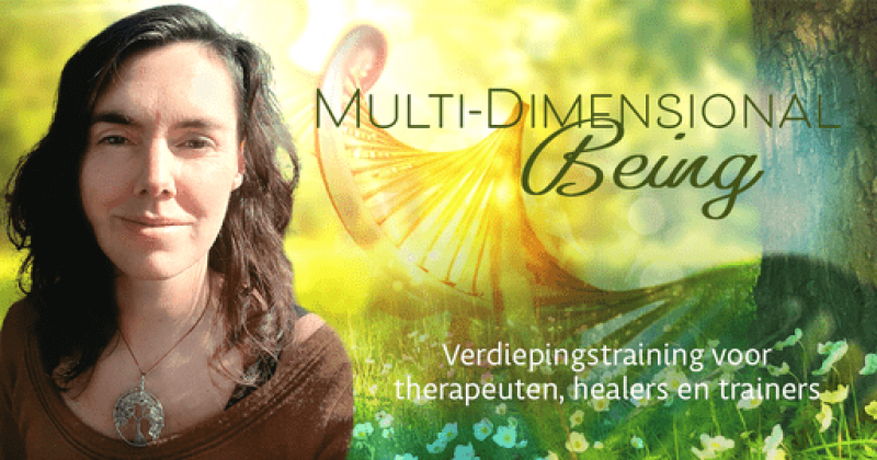 Multi-dimensional being - Verdiepingstraining voor pro's - Hipsy