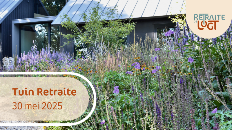 Tuin Retraite - Hipsy