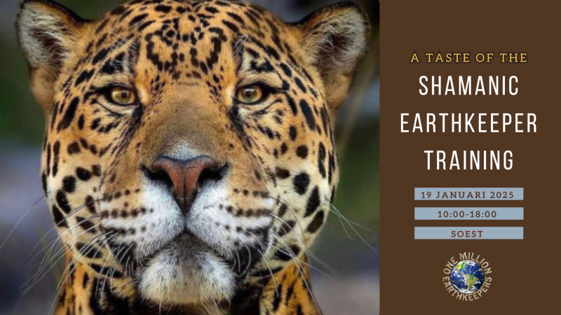 a Taste of the Shamanic Earthkeeper Training - Hipsy