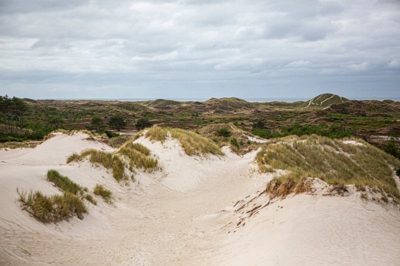 Yogaweekend Strandhotel Camperduin - Hipsy