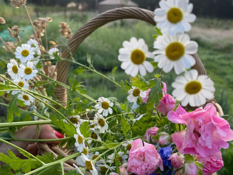 "Van ruis naar rust" ééndaagse - Hipsy