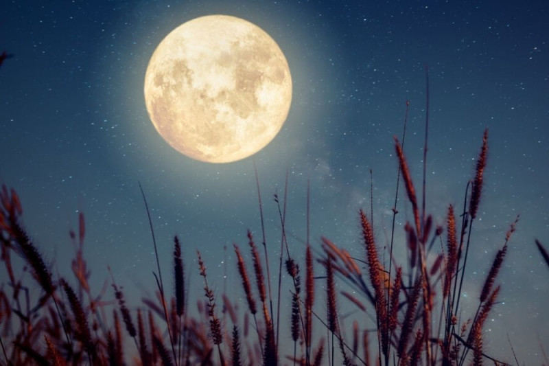 Volle Maan Wandeling met astrologische uitleg - Hipsy