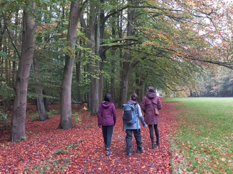 Mindfulness Monday Morning Walk - Hipsy