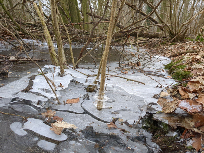Dive Deeper: trouw zijn aan jezelf met Eunice - Hipsy