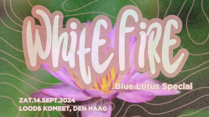 White Fire Dance ⚡︎ Blue Lotus Edition - Hipsy