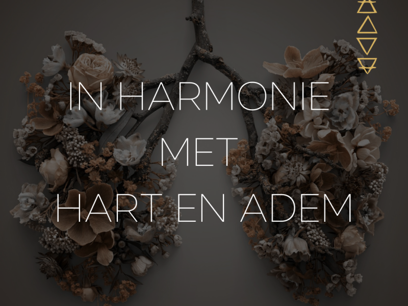 In Harmonie met Hart en Adem - Hipsy