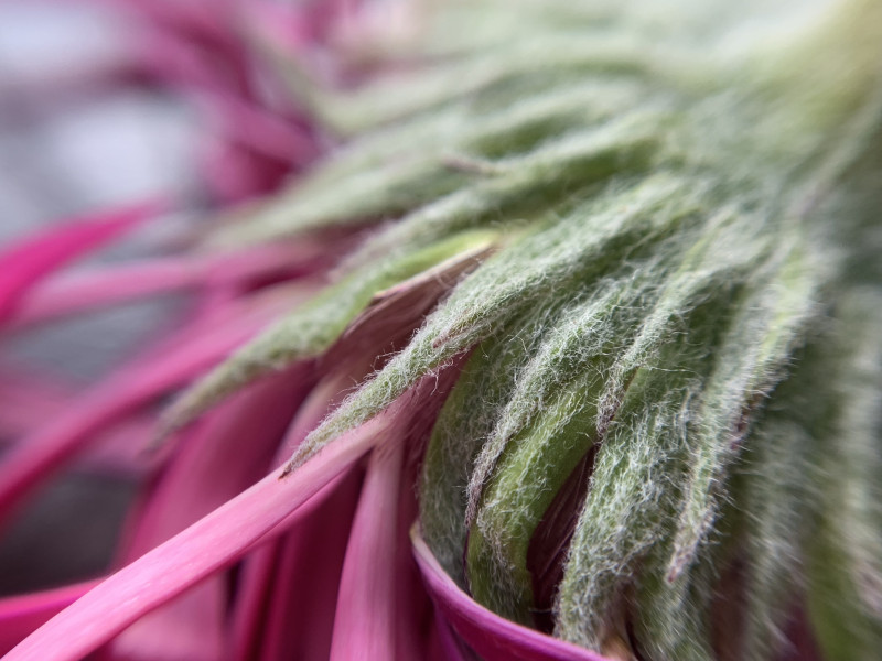 Creatief Groepstraject 'Nieuwe Draden Weven' /3 workshops - Hipsy