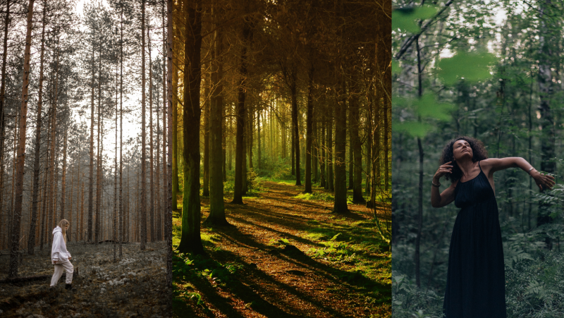 Move into your nature: een helende wandel-dans in het bos. - Hipsy