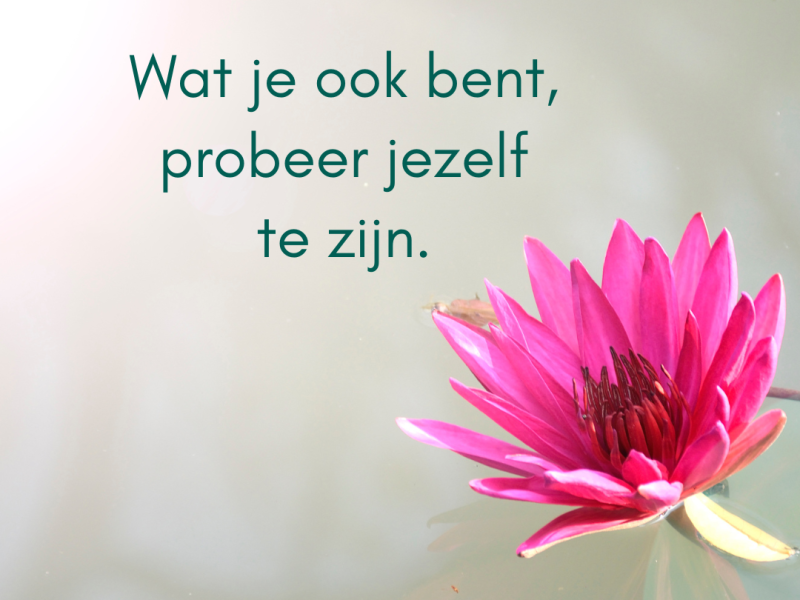 Vind je innerlijke balans - Hipsy