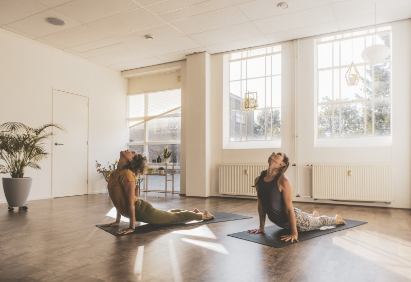 Basiscursus Ashtanga Yoga - een weg naar innerlijke kracht en balans - Hipsy