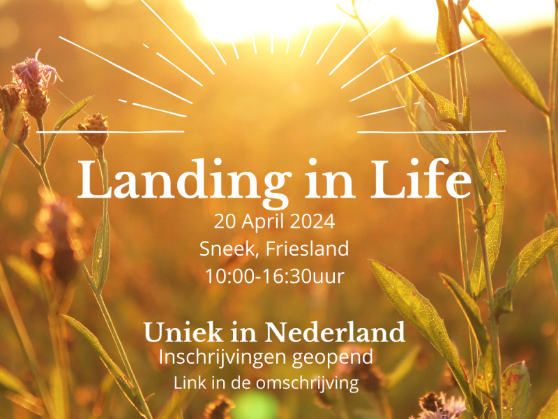 Landing in Life™ - Hipsy