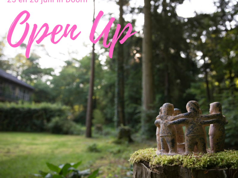 Open Up -2 daagse - Hipsy