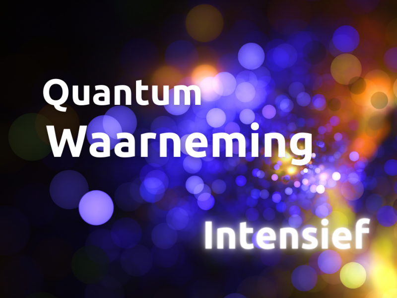 Quantum Waarneming Intensief- Alkmaar - Hipsy