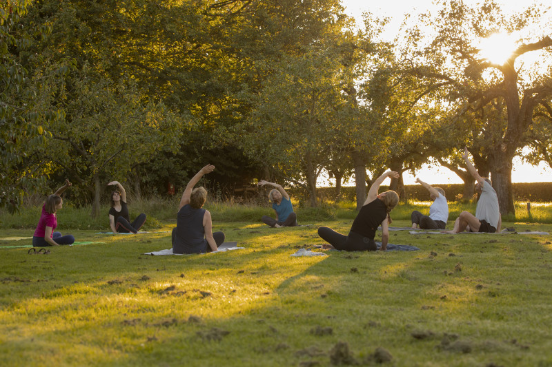 One Day Retreat- Zomer Flow - Hipsy