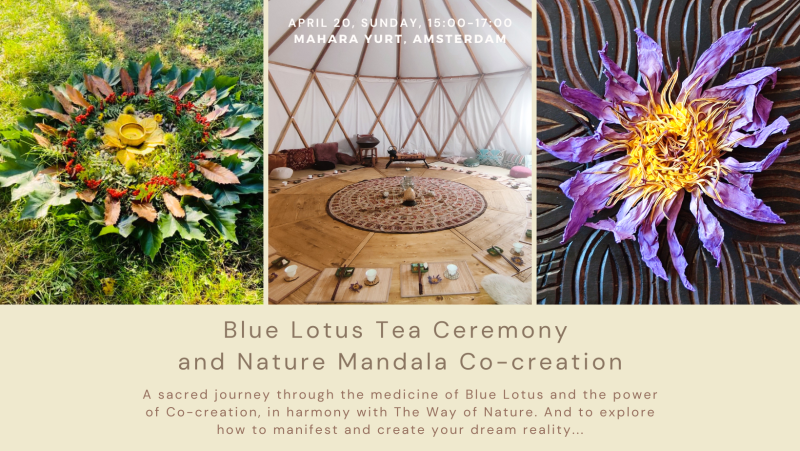 Blue Lotus Tea Ceremony with Nature Mandala Co-creation to Manifest - Hipsy