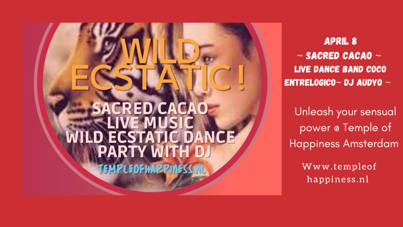 Wild Ecstatic Party - Hipsy