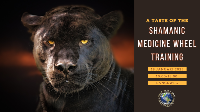 a Taste of the Shamanic Medicine Wheel - Hipsy