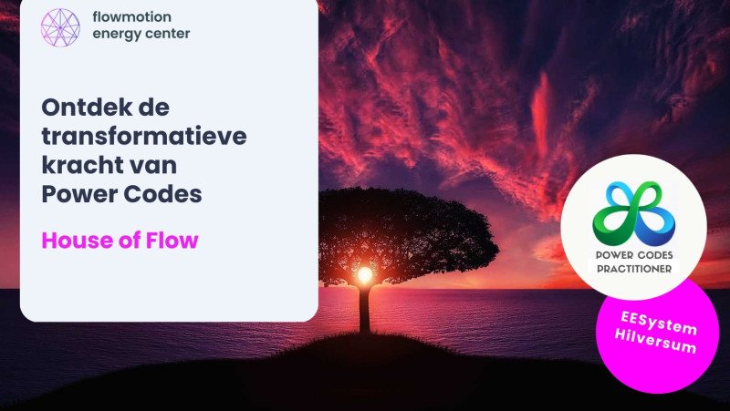 De transformatieve kracht van Power Codes - Hipsy