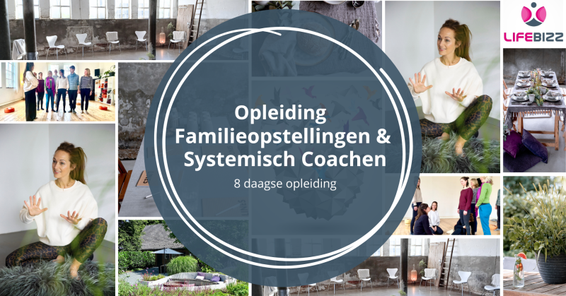 Opleiding Familieopstellingen en Systemisch Coachen - Hipsy