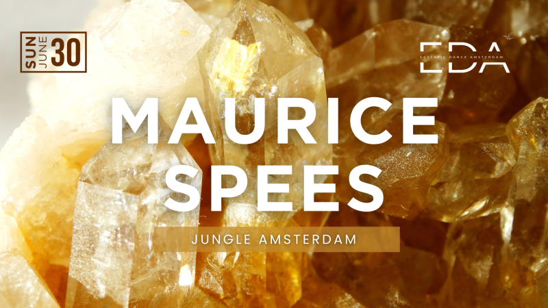 Ecstatic Dance Amsterdam @ The Jungle | Maurice Spees - Hipsy