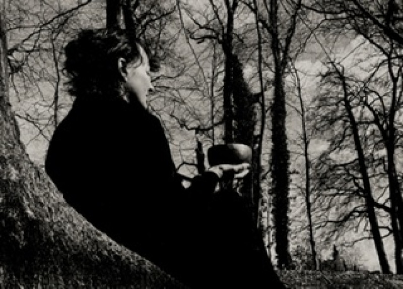 Shinrin Yoku / bosbaden Oosterbeek - Hipsy