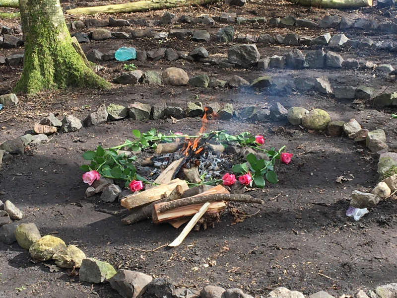 De magie van Avalon - Hipsy