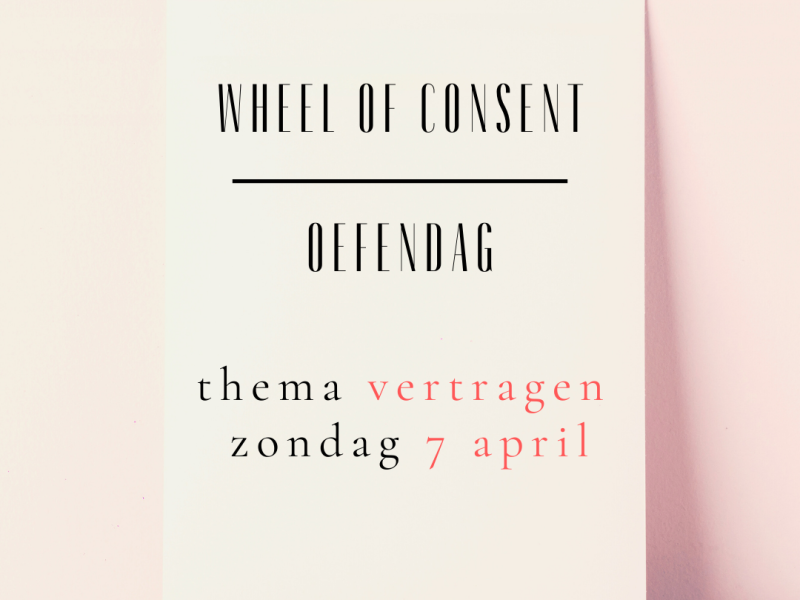 Wheel of Consent Oefendag - Hipsy